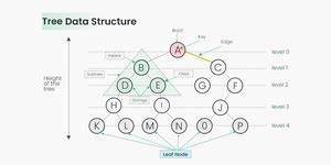 Tree Data Structure Geeksforgeeks