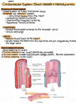 Lab Prep Endocrine Lab Prep Material For Anatomy And Physiology II