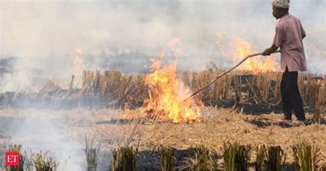 Punjab Crop Burning Punjab Aims To Reduce Stubble Burning Incidents By