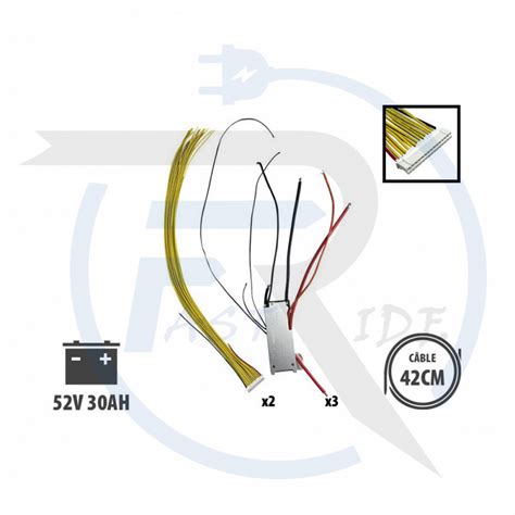 Bms Dualtron Mini 52v 30a V2