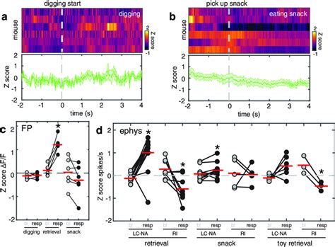 lc maternal retrieval responses are not replicated by motor activity