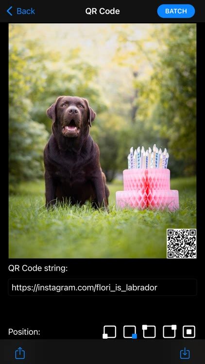 Qr Code Watermark Creator ® By Sprinnet