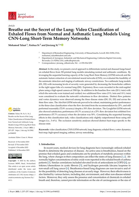Pdf Breathe Out The Secret Of The Lung Video Classification Of