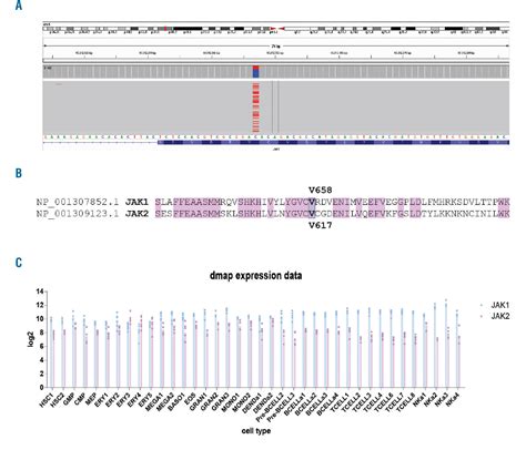 Figure 2 From Jak1 Somatic Mutation In A Myeloproliferative Neoplasm