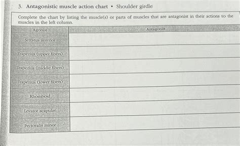 Solved Antagonistic Muscle Action Chart Shoulder Chegg