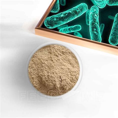 Bacillus Licheniformis Best Probiotic Supplenment G1