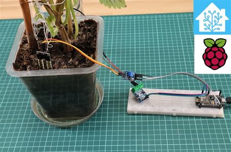 Home Assistant Ile Bitki Sulama Sistemi Robolink Akademi
