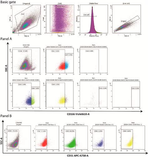 Table 1 From Multiplex Analysis Of Adipose Derived Stem Cell Asc