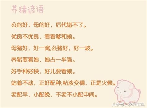 若要豬無病必須要四淨豬要養好祖輩養豬的農諺別忘掉 每日頭條