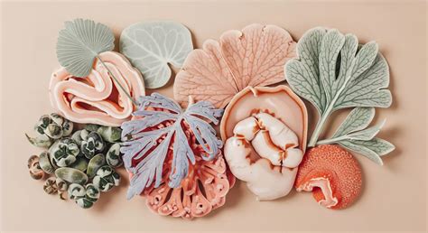 Decommodification → Term