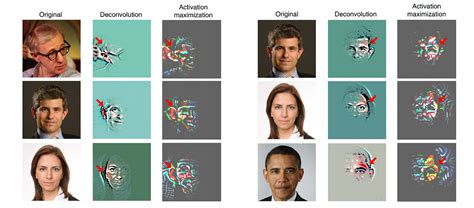 Do Deep Neural Networks ‘see Faces Like Brains Do By Synced Syncedreview Medium