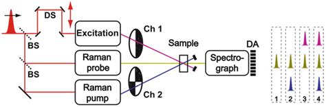 Scheme Of The Fsrs Experimental Setup And Pulse Chopping Scheme All
