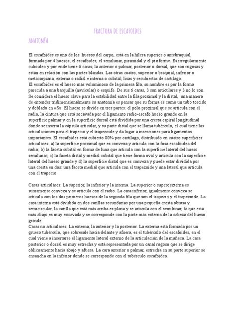 Fractura De Escafoides Descargar Gratis Pdf Sistema