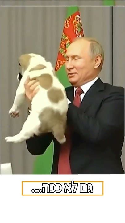 ככה לא מחזיקים כלב Youtube