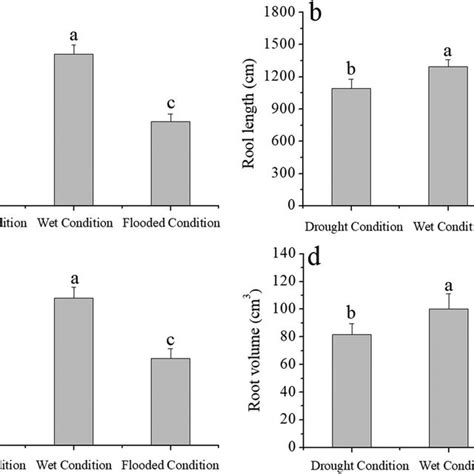 Variations Of Root Morphological Parameters Root Mean Diameter A