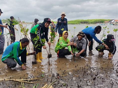 LLHPB PDA Kebumen Tanam Bibit Mangrove Di Pantai Logending Majalah Suara Aisyiyah