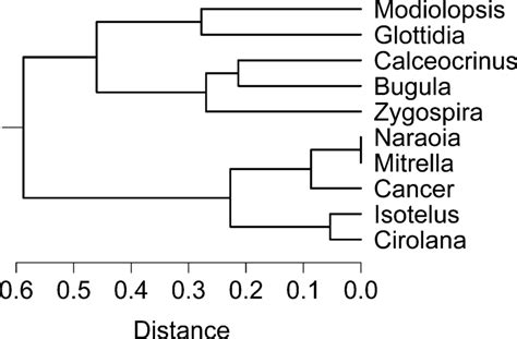 Dendrogram Of Ecological Distances Between Marine Taxa In Table 3
