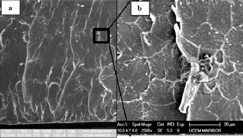 Electron Micrographs Of The Pmma Fracture Surface A General
