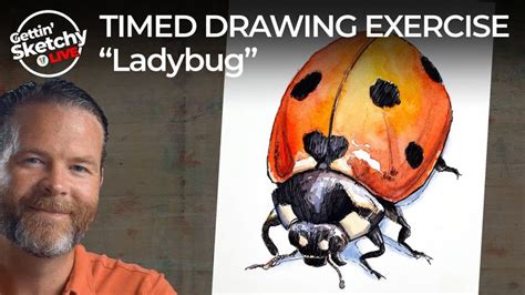 Drawing Exercise Ladybug With Ink And Watercolor Drawing Exercises Drawings Sketching