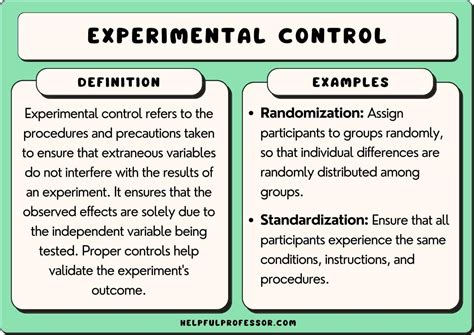 10 Experimental Control Examples 2025