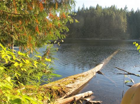 Classic Canadian Lake Camping At Weaver Lake Bc Savoir There Get To