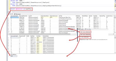 Working With Sql Server Rowcount