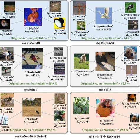 Neural Dependencies In Popular Multi Class Classification Networks