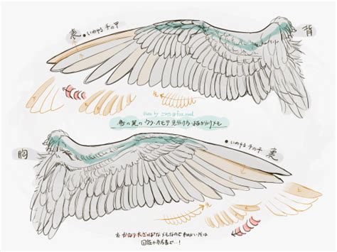 Hakobune Wings Sketch Wings Drawing Wings Art Drawing Reference