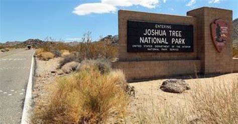 Search For Canadian Hiker Missing At Joshua Tree National Park Scaled Back