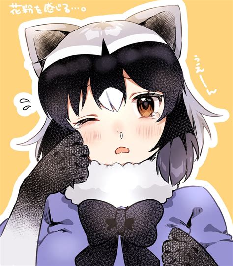 Common Raccoon Kemono Friends Drawn By Suicchonsuisui Danbooru