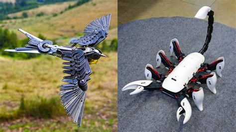 robot bird