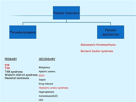 5 Bleeding Disorder Pptx