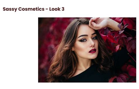 Sassy Cosmetics Introduction Types Of Looks Makeup And More