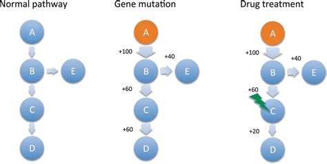 The Overall Workflow Of Our Algorithm Left Panel Lists The Mutation