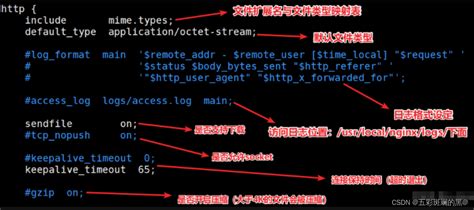 Nginx网站服务 安装nginx平滑升级nginxnginx各种访问配置