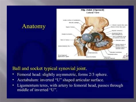Hip Dislocation Pptx