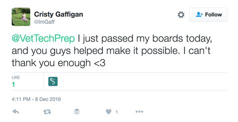 The Savvy Vettech Vicki Olson