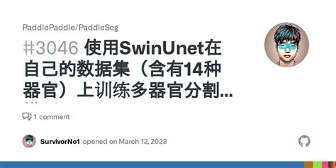 使用SwinUnet在自己的数据集含有14种器官上训练多器官分割模型 Issue 3046 PaddlePaddle