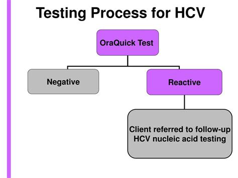 PPT OraQuick HCV Rapid Test How To Run The Test PowerPoint Presentation ID 2525557