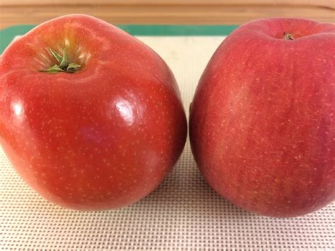 What Is Shellac Organic Fruit Preservative