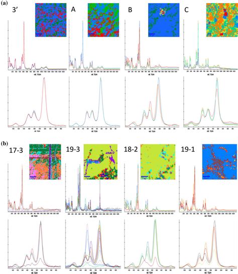 Raman Spectra And Maps Of K Means Cluster Analysis A Relatively