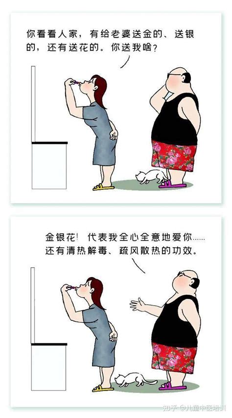 中医药文化小故事金花银花金银花此情绵延在华夏 知乎