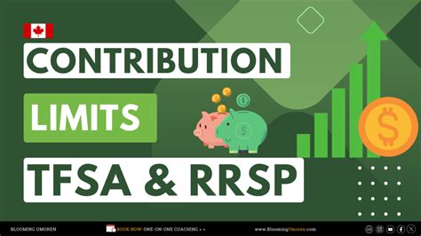 2024 Rrsp Contribution Limit Cra Bekki Carolin