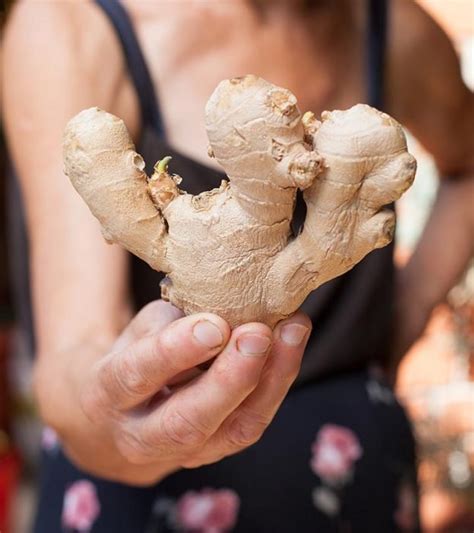 The Power Of Ginger A Sweet Treat For Expectant Mothers — Buy Sweet