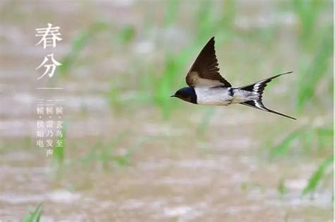 美不胜收的拼音 美不胜收的意思 美不胜收 第8页 大山谷图库