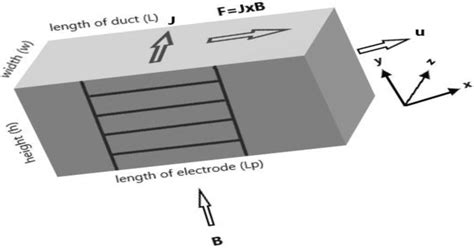 Schematic View Of The Mhd Micropump Geometry And Coordinate System