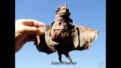 Nnoying Bw Fipped Eporner