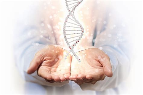 Dynamic Microbiome Abundance Profiling A New Tool To Solve Challenges In Microbiome Analysis