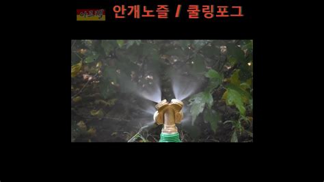 안개노즐 연무 미스트 분사 농약 분무기 약대 노즐 Youtube