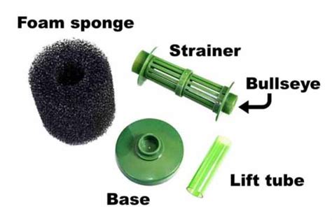Sponge Filter Setup A Complete Guide Mountain Tree